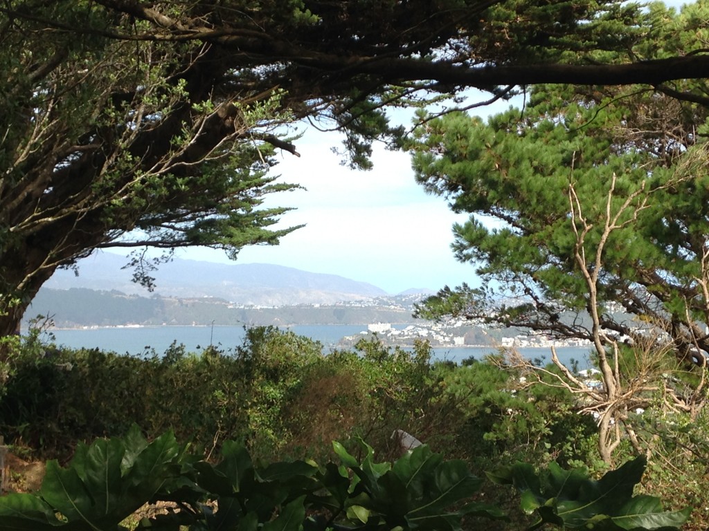 Visiting Wellington the windy City – Bridge the Travel Gap